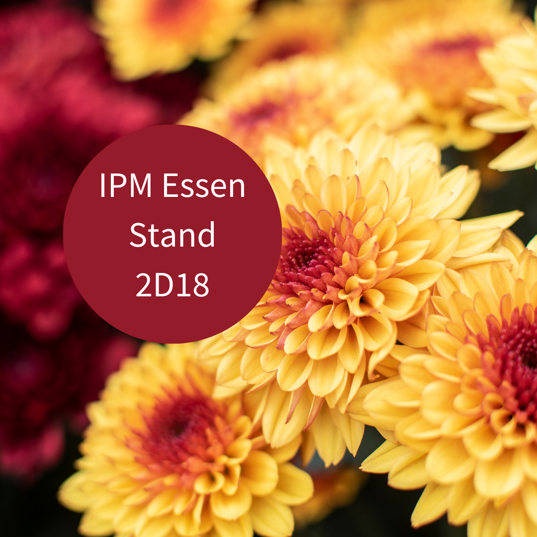 IPM Essen 2024